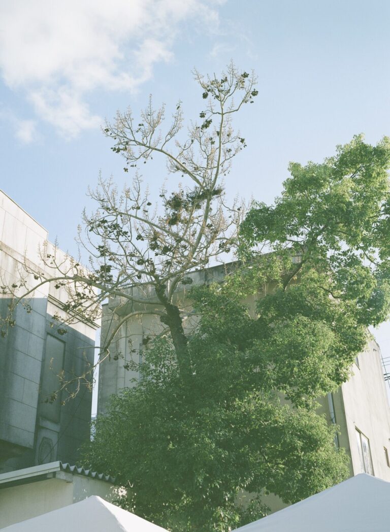 フィルムカメラレビュー。「BRONICA RF645」 | BORN SURE blog